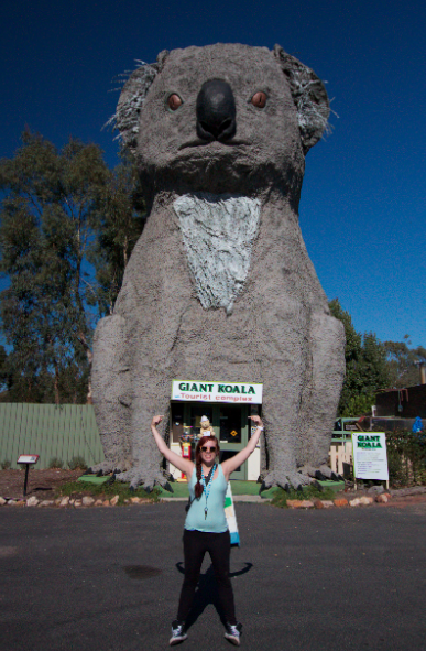 Our Rabbit Hole: Giant Koala - Dadswells Bridge VIC