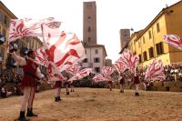 Di Vino à Gula: Trufas do Piemonte