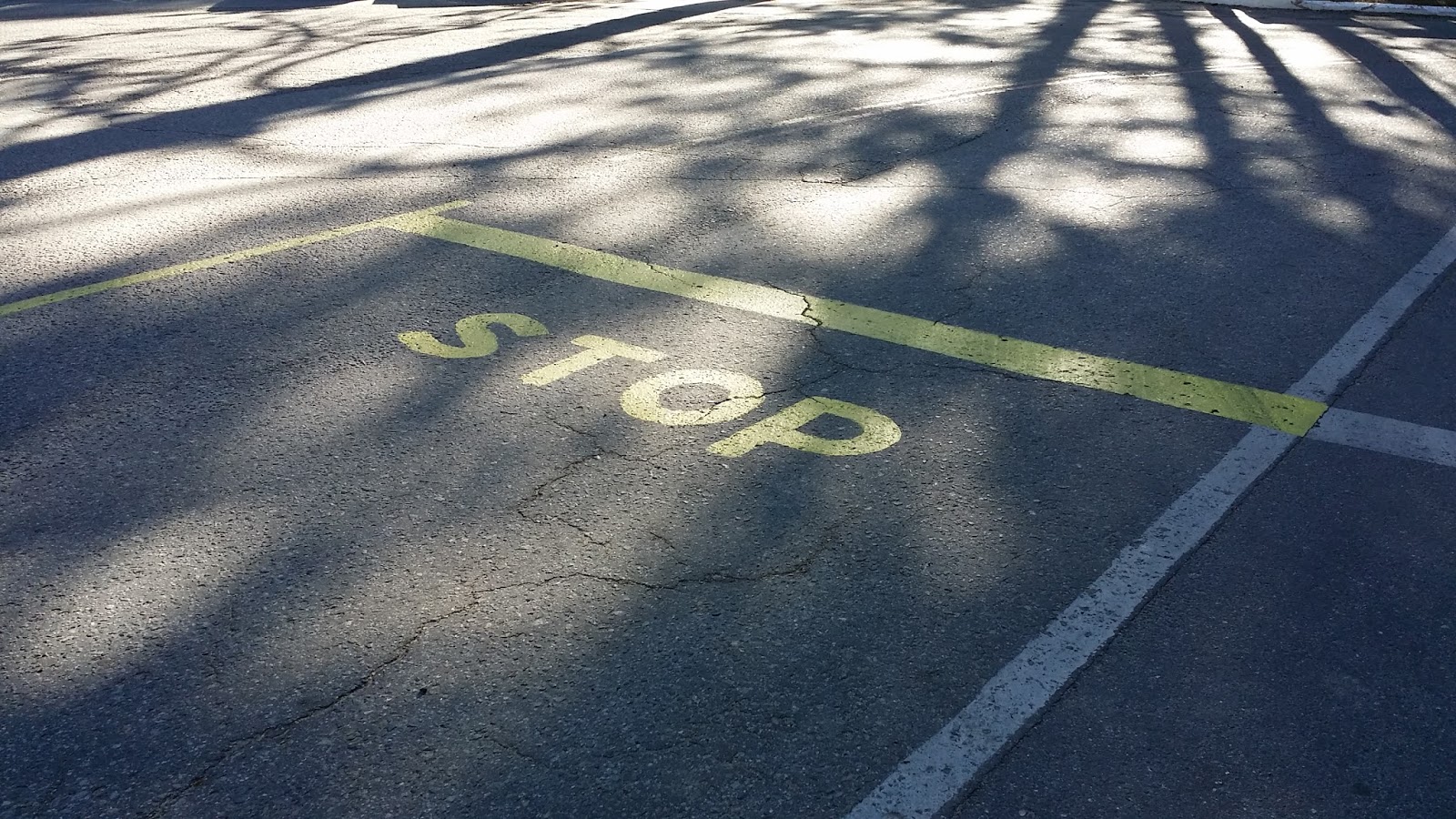 OUR NEWELL ADVENTURE: B.M.