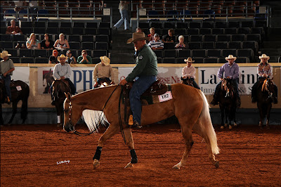 Only Equine: Wimpys little step