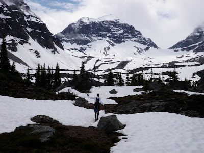 Banff Trail Trash: First Adventure of the Season - Fryatt Valley ...