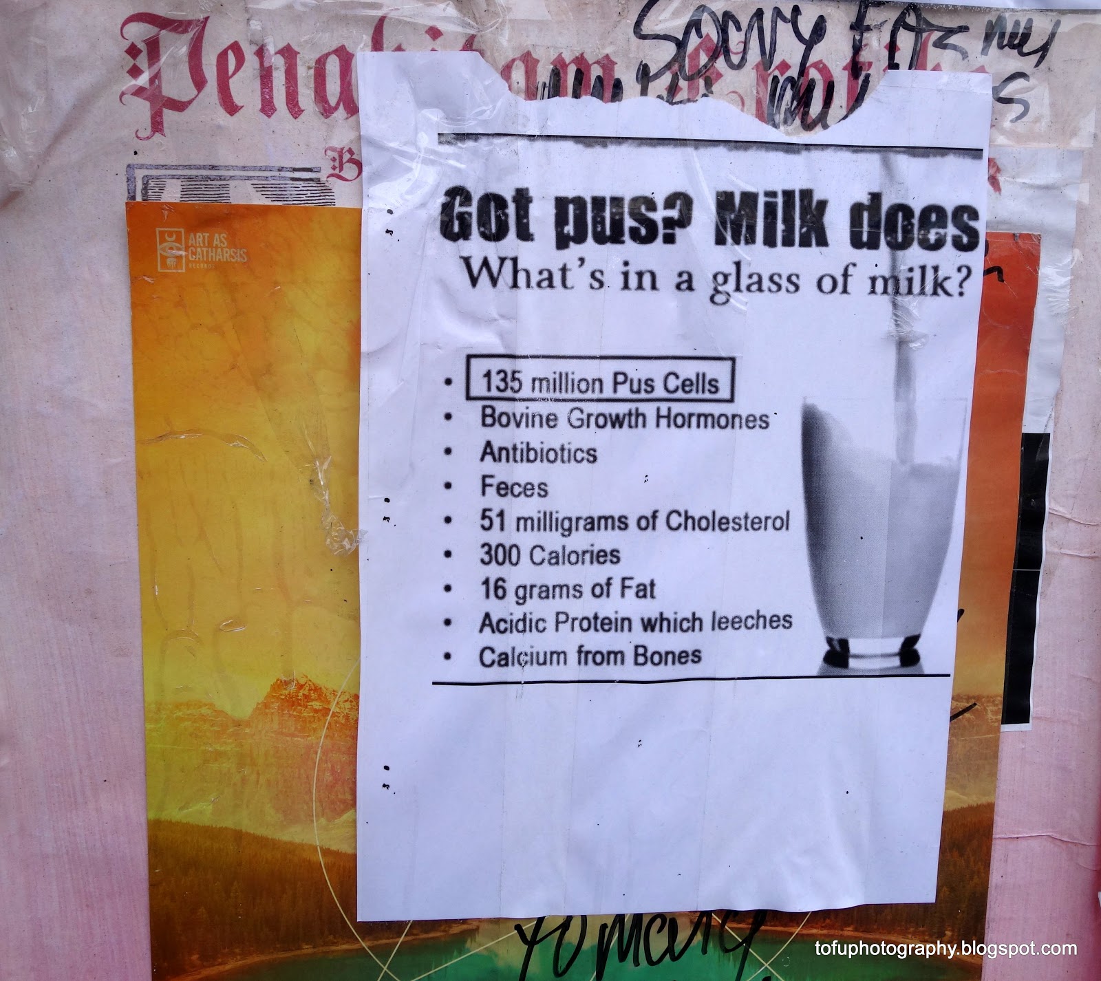 Tofu Photography: Anti milk sign in a vegan shop in Fitzroy, Melbourne ...