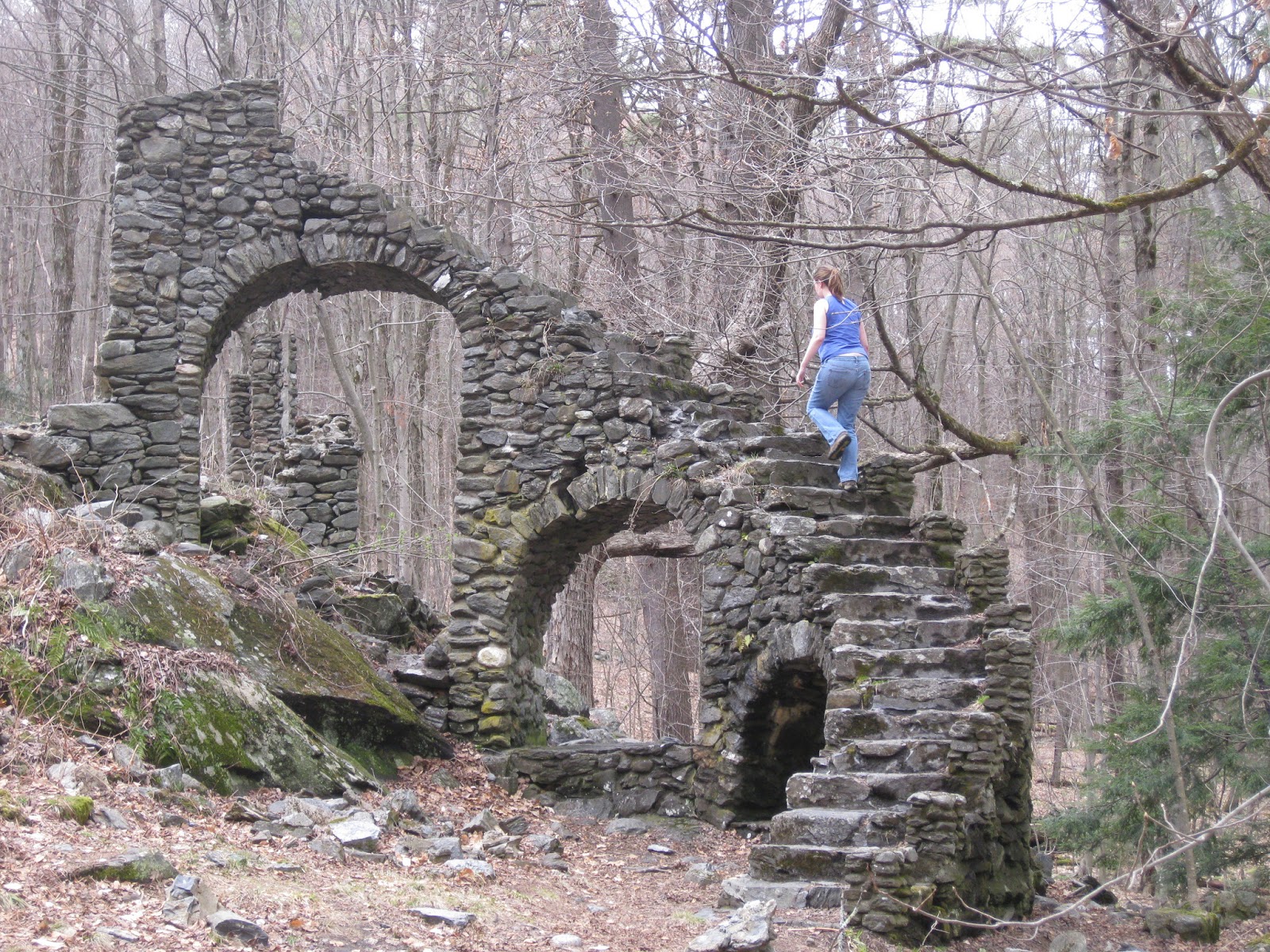 Life in New Hampshire: Madame Sherri's Forest