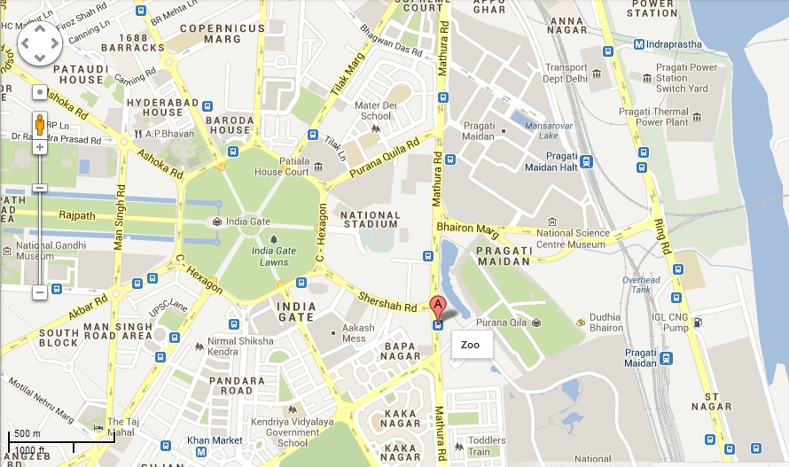 Visit to Delhi Zoo | Tea Time Talk