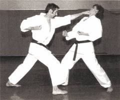 Kojutsukan: To Punch or Not to Punch