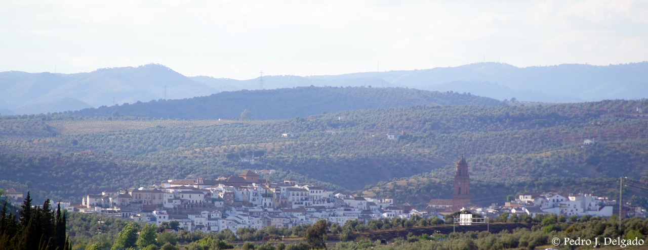 Pasión por Montoro: Montoro en imágenes