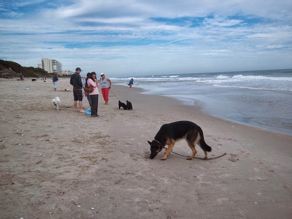 Jack and Darlene's Story: Canova Dog Park and Beach~
