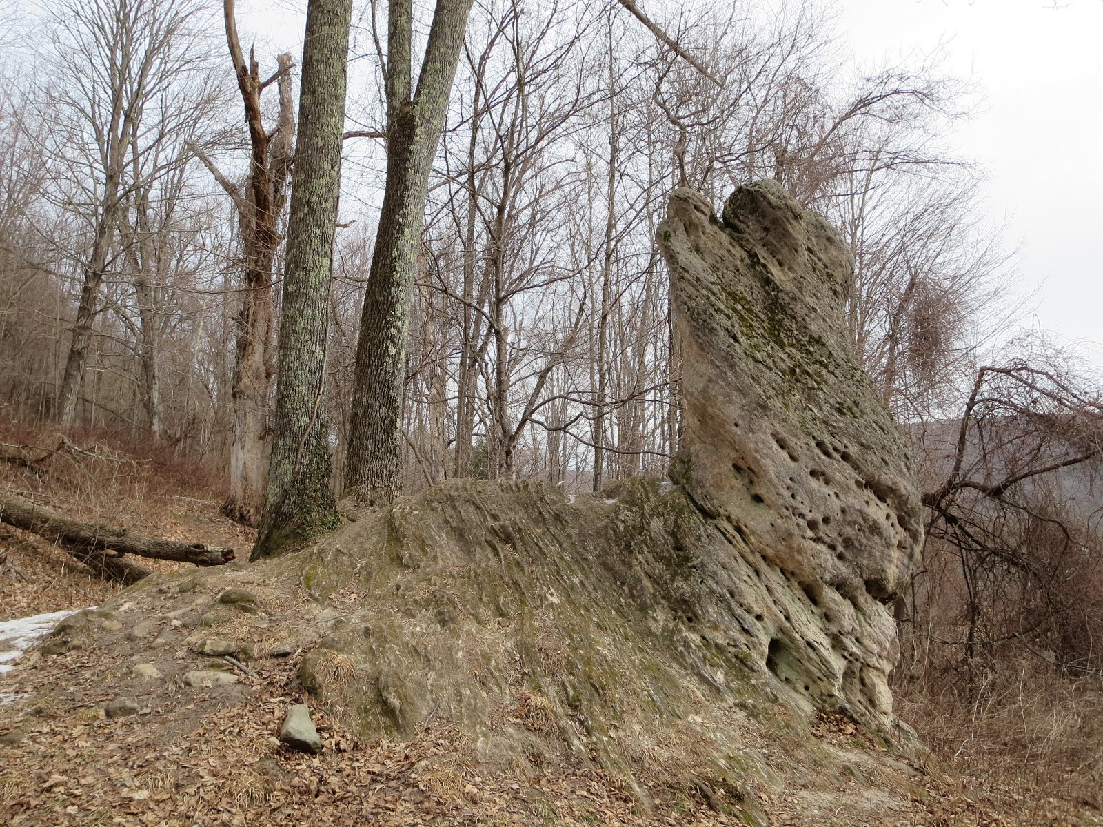 Valhallaoven's Travel log: Tyringham Cobble & McLennan Reservation