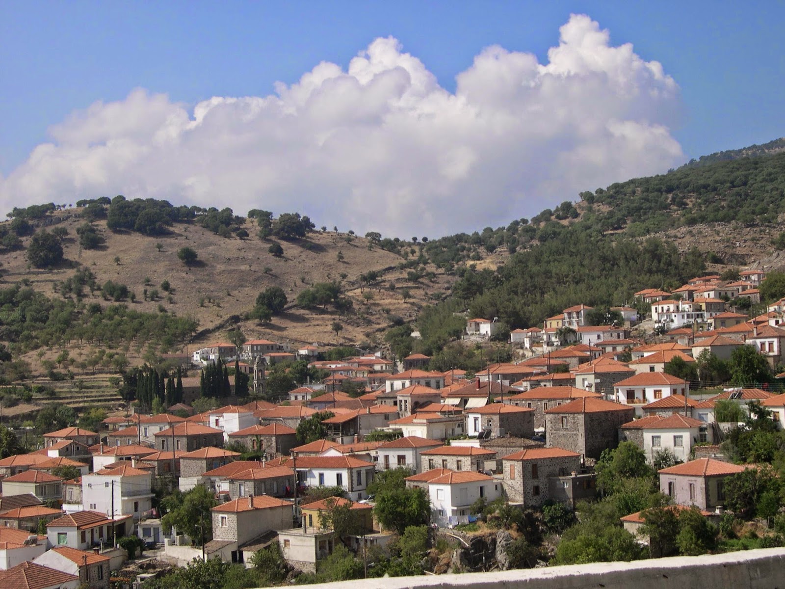 MY ANEMOTIA LESVOS!: 3.Η ΝΤΟΠΙΟΛΑΛΙΑ ΤΟΥ ΧΩΡΙΟΥ ΜΟΥ, ΤΗΣ ΑΝΕΜΩΤΙΑΣ ...