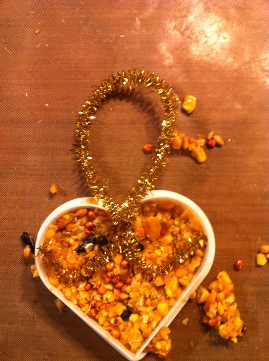 Dispossessed: All Natural Bird Seed Ornaments