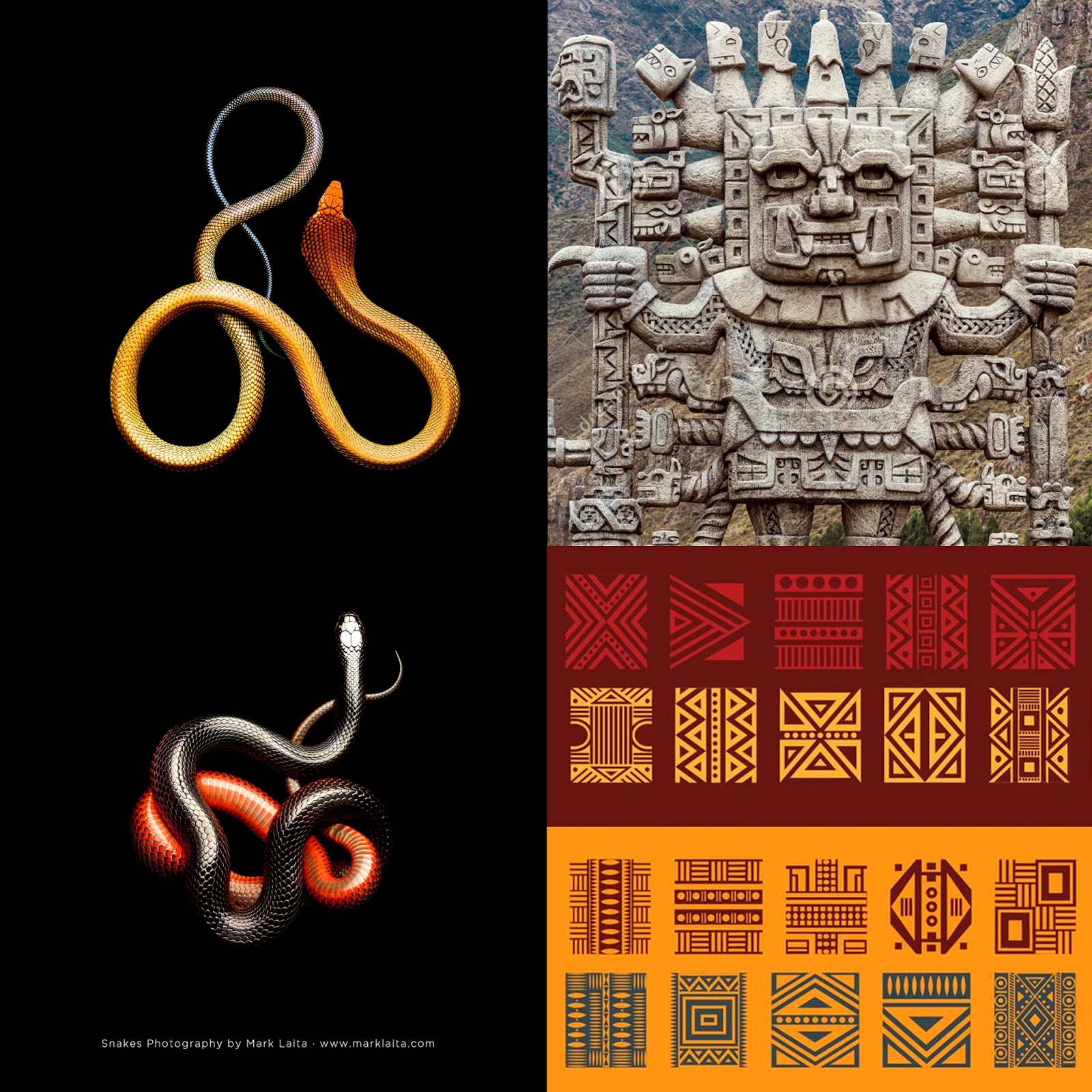 Amaru – Packaging Of The World