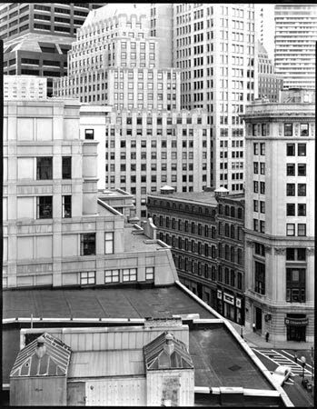 Landscape Photography: Nicholas Nixon