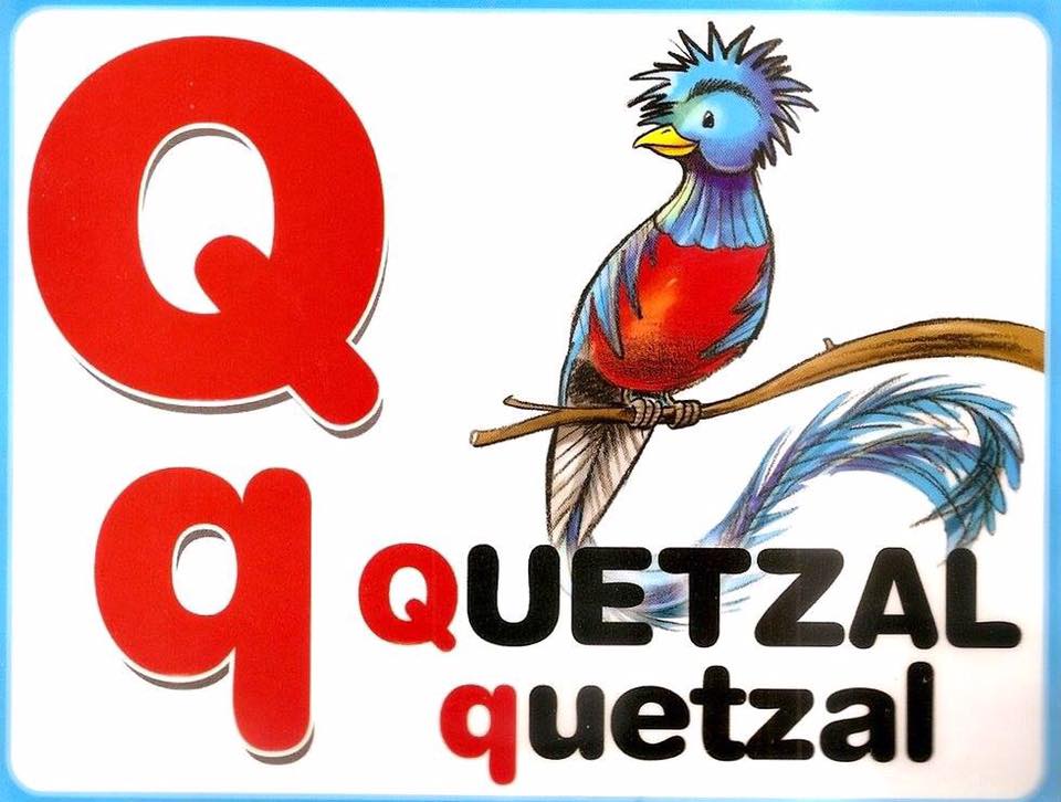 Burbuja de Lenguaje: Abecedario de Animales