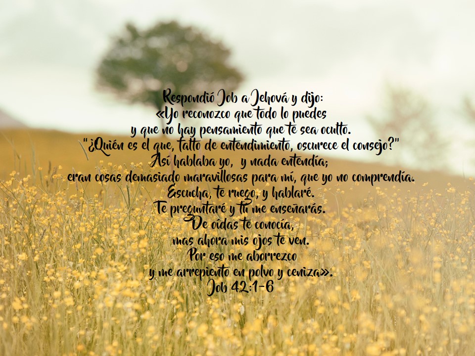 Job 42: Job reconoce la sabiduría de Dios