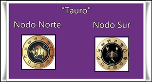 Diagrama - Nodo Norte y Nodo Sur en Los Signos Zodiacales - - Las ...