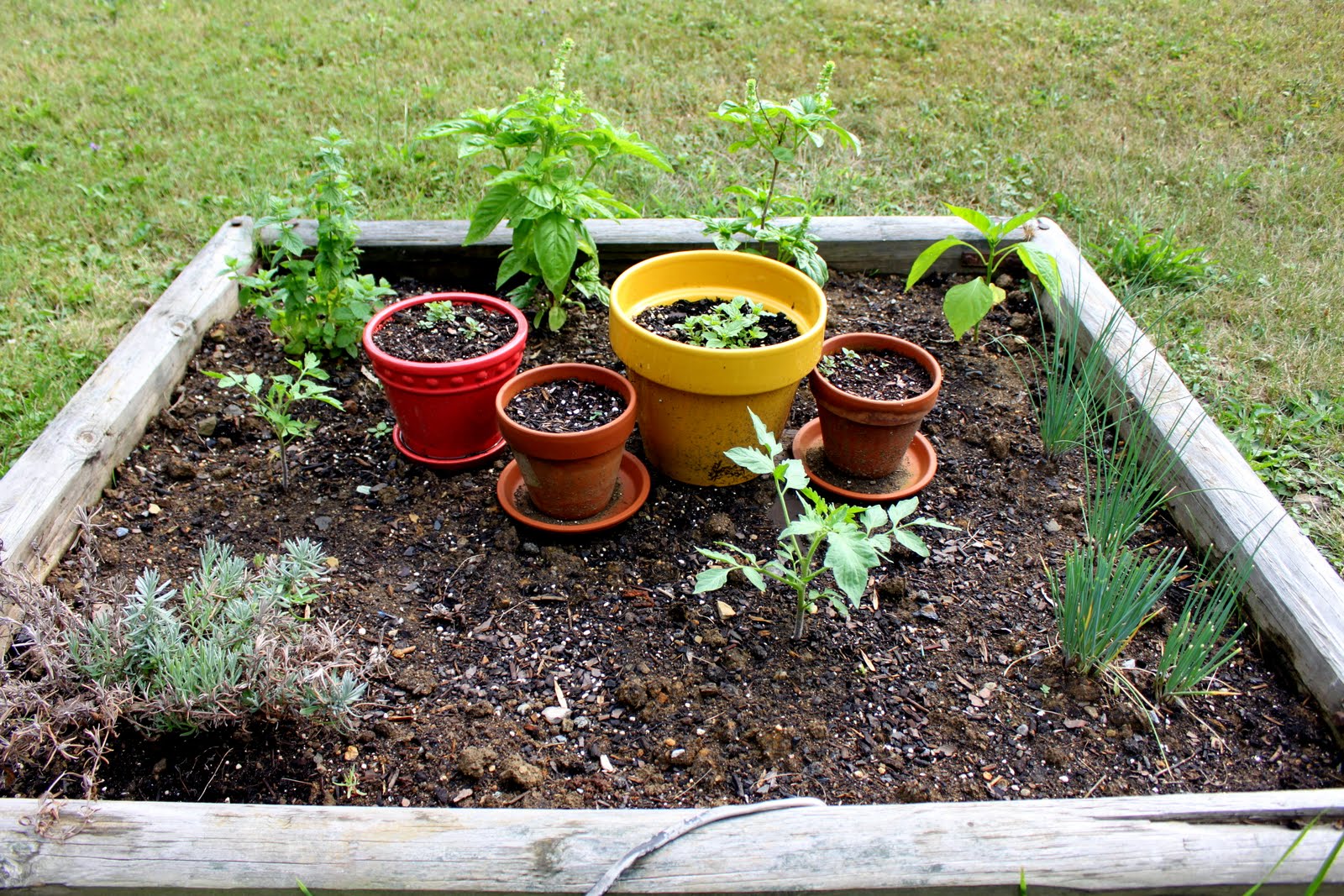 Another Day Forever: How Does My Garden Grow?