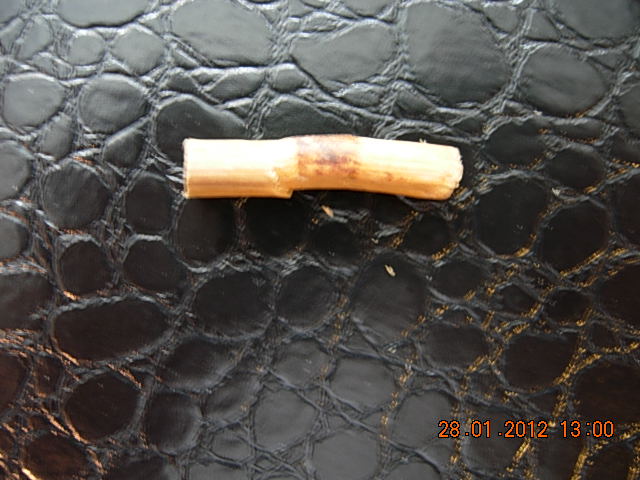 Myth of the Left Handed Samurai