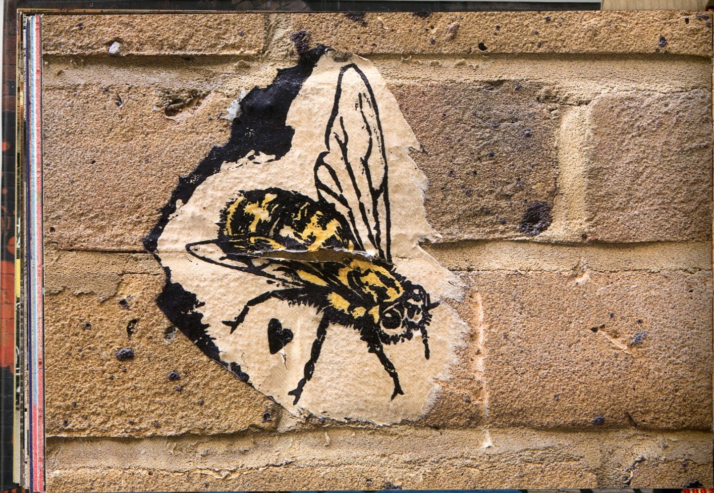 Ellie Preston: Initiating Creative Practice: Further Graffiti and ...