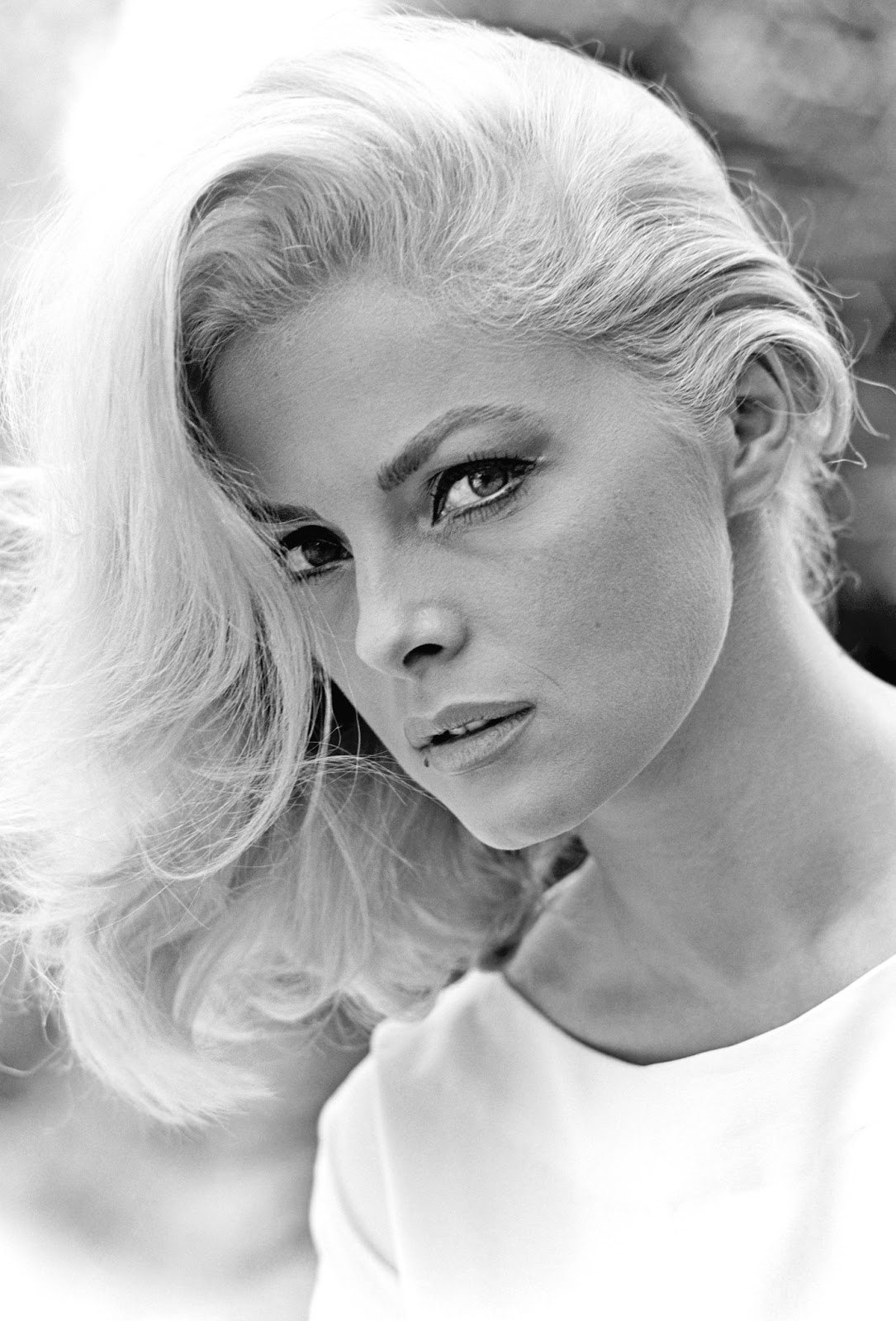 Slice of Cheesecake: Virna Lisi, pictorial