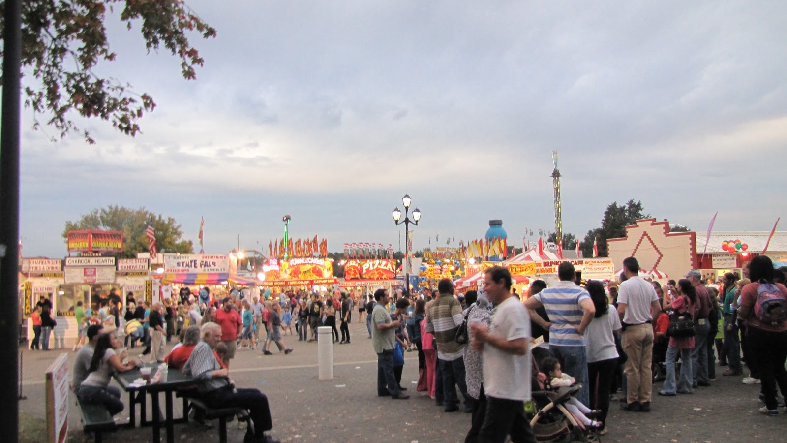 Kaeli's Kiwis: Wordless Wednesday! State Fair Fun!