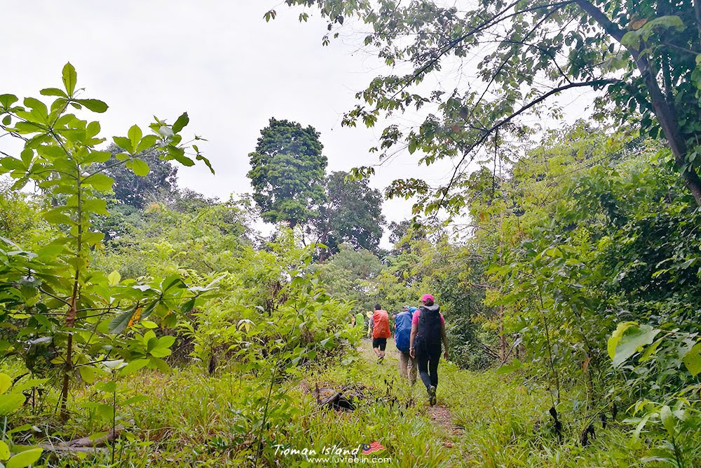 Kampung Asah Waterfall of Tioman Island 徒步刁曼岛寻【甘榜阿沙瀑布】 - 乐飞翎 ♥ LUVFEELIN