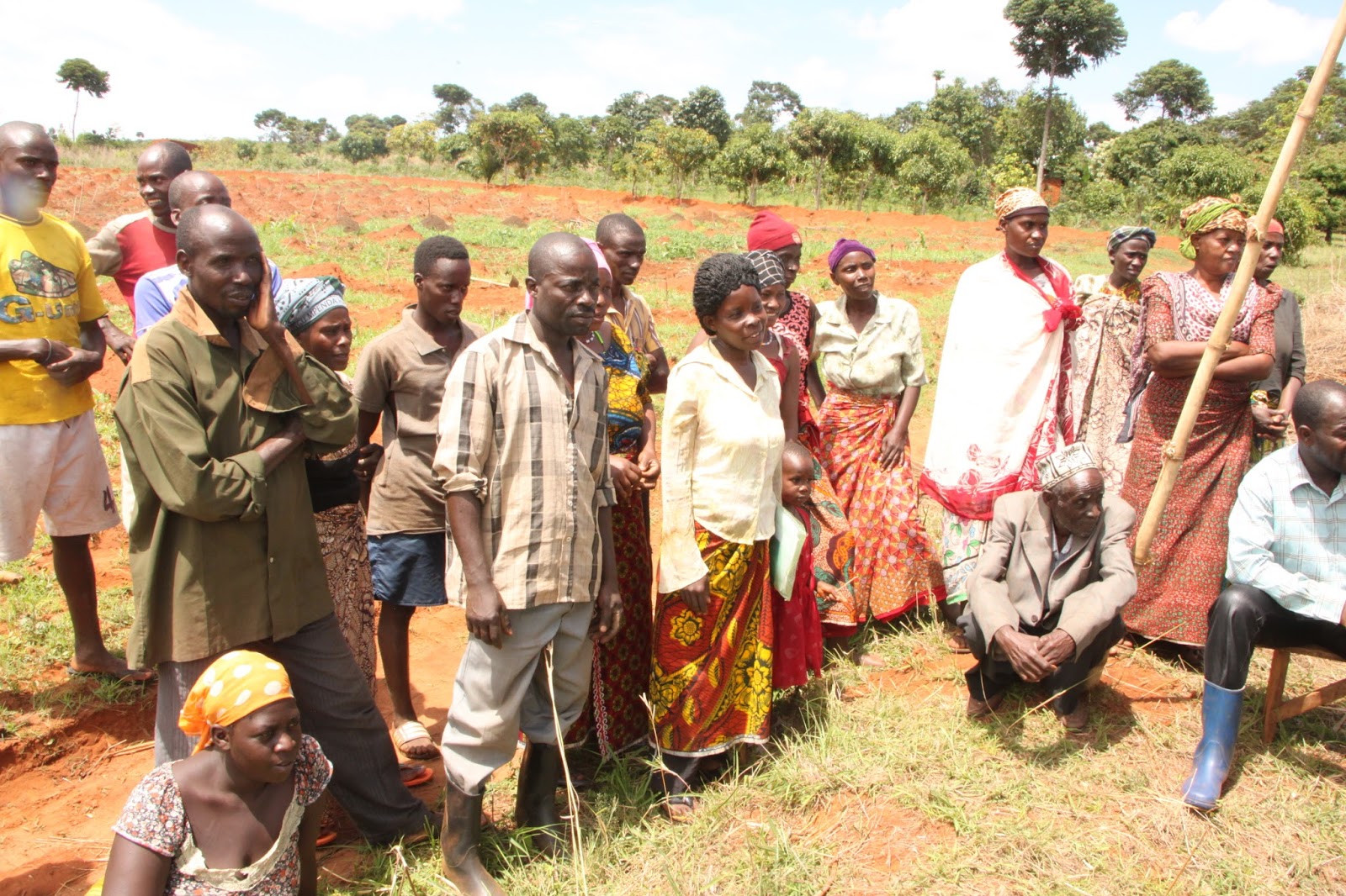 Kilimo Kwanza : Mbegu Bora za Migomba , Vazi Lishe na Mihogo Kuwakomboa ...
