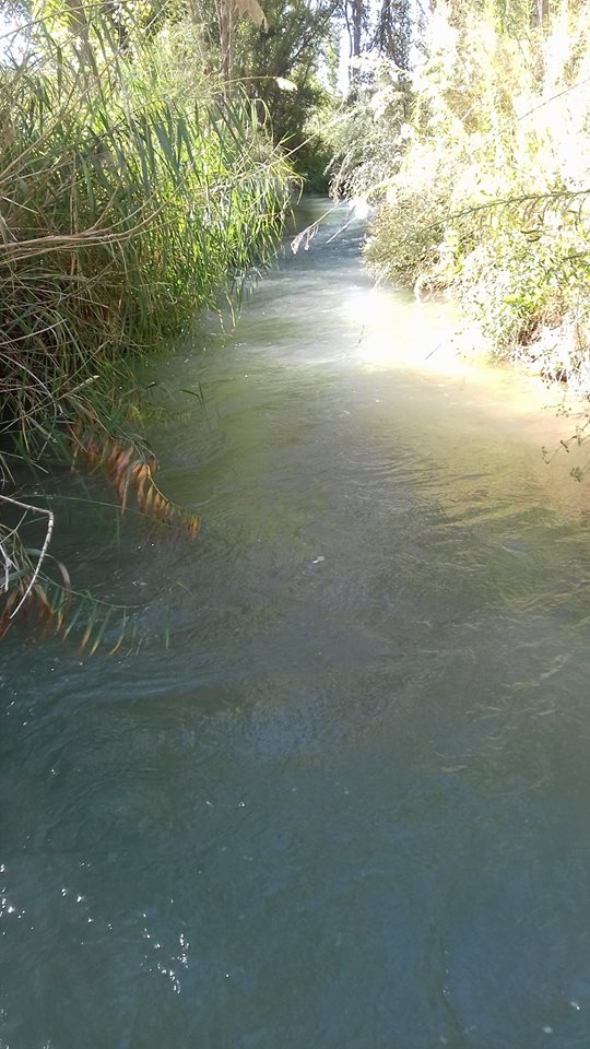 A VISTA DE PÁJARO...: Río Cacín