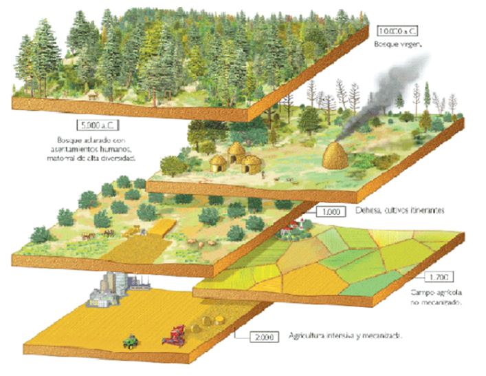 la realidad del medio ambiente : EL ESPACIO Y LA ATMÓSFERA TERRESTRE