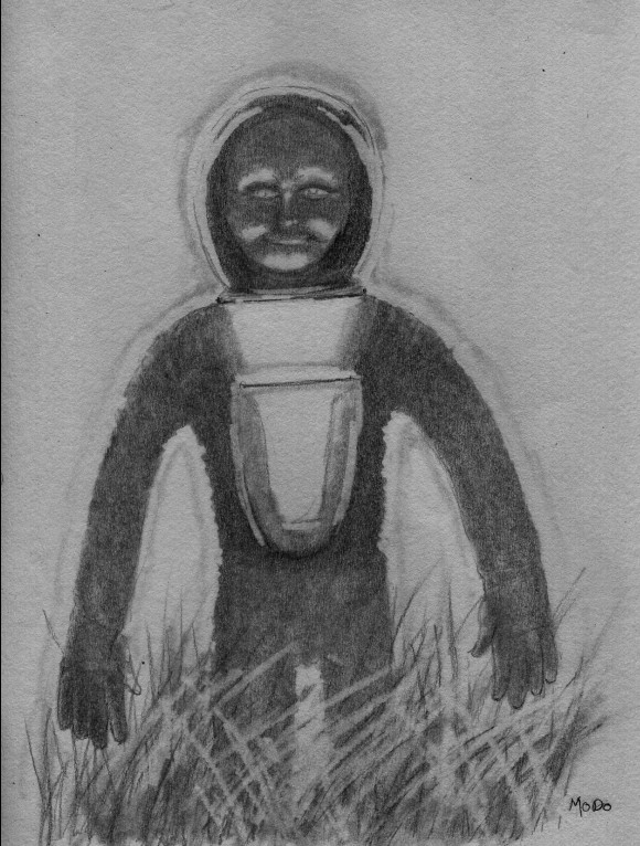 Flying Disk Press: UFOs and Entity Cases: Where Have They All Gone?