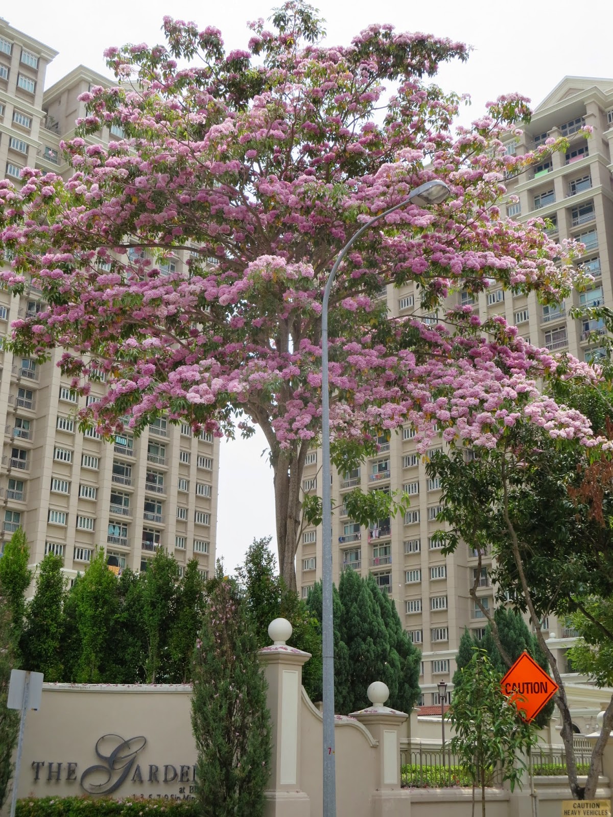 Grace Tats: Tropical flowers