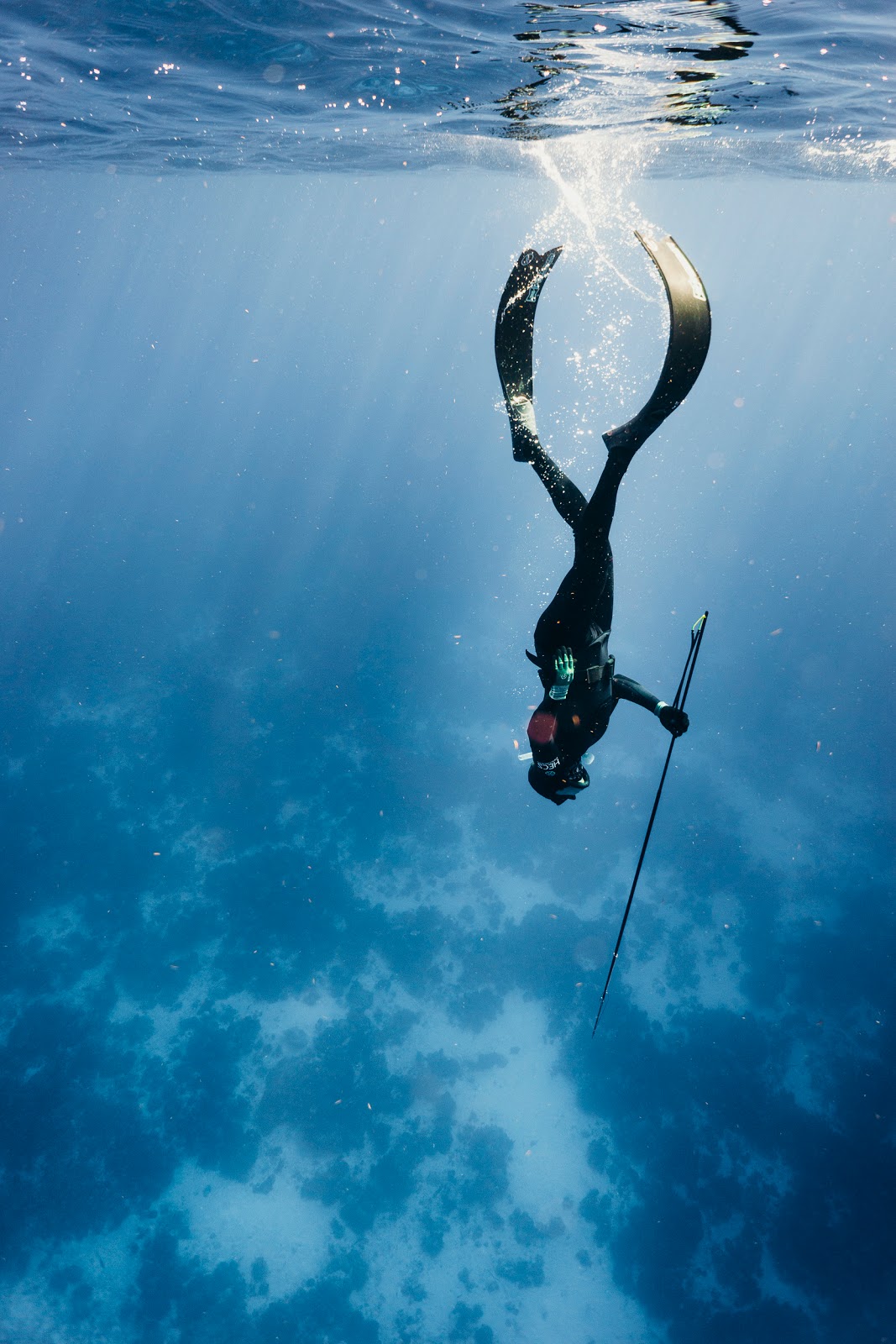 Blogging the Caribbean Aboard Top Shelf: Spearfishing 101