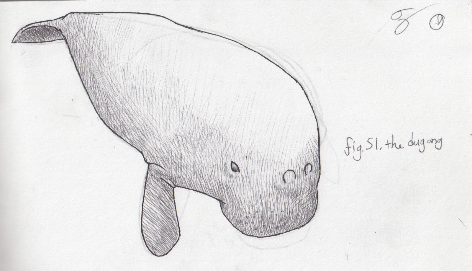 Jun Makes Stuff: #67 The Dugong