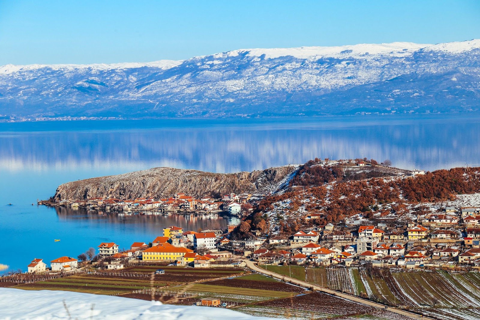 Planting trees around Lake Ohrid Region