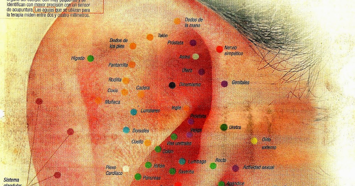 MIS LIBROS DIGITALES PDF: LOS PUNTOS DE LA OREJA HUMANA