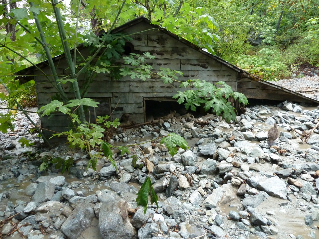 Reading the Washington Landscape: Debris Flood Report from Imus Creek ...
