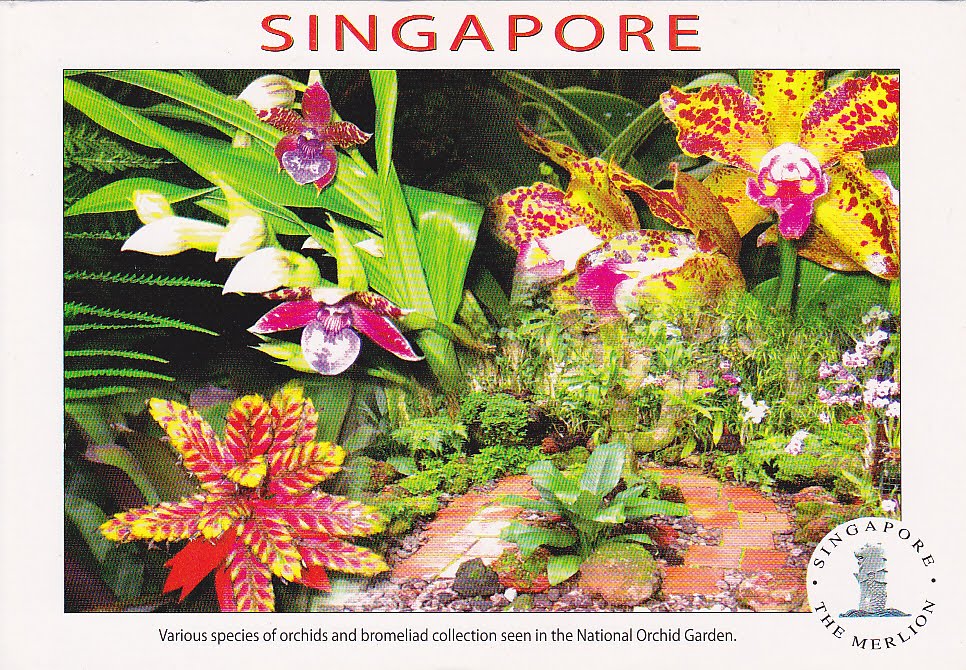 Postcard A La Carte: Singapore - Botanic Gardens