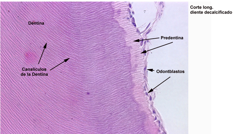 Trabajos de Jesus Ariel
