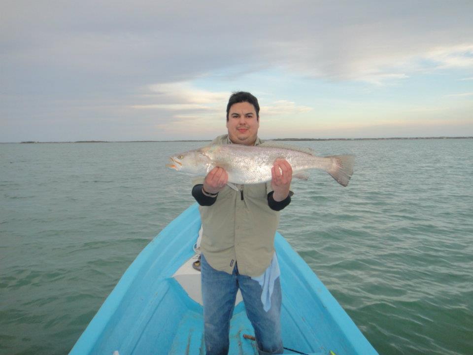 JustGoFishin.com: Jesus Saenz 32 inch Trophy Trout