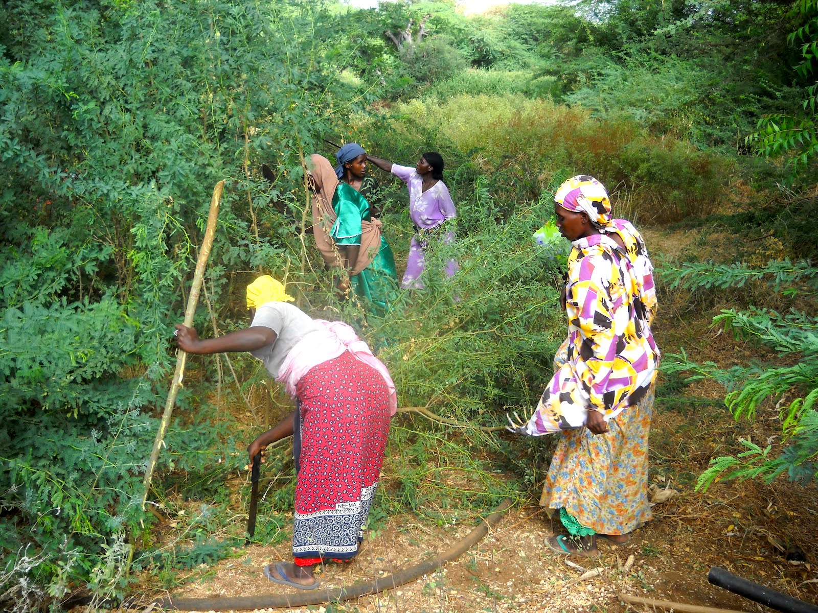 Agriculture in The World: Agriculture Training
