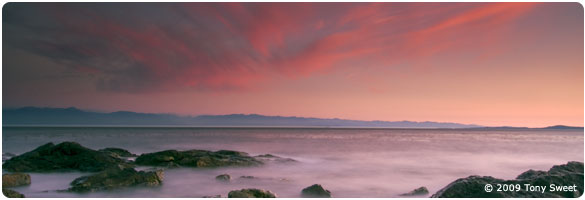 Arte y Arquitectura: Reinterpretar la naturaleza, Tony Sweet