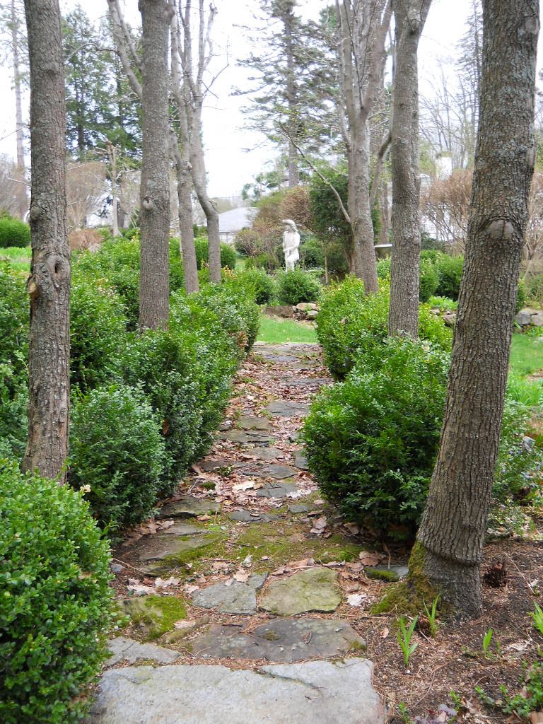 Anemone Times: Stan Fry's Garden