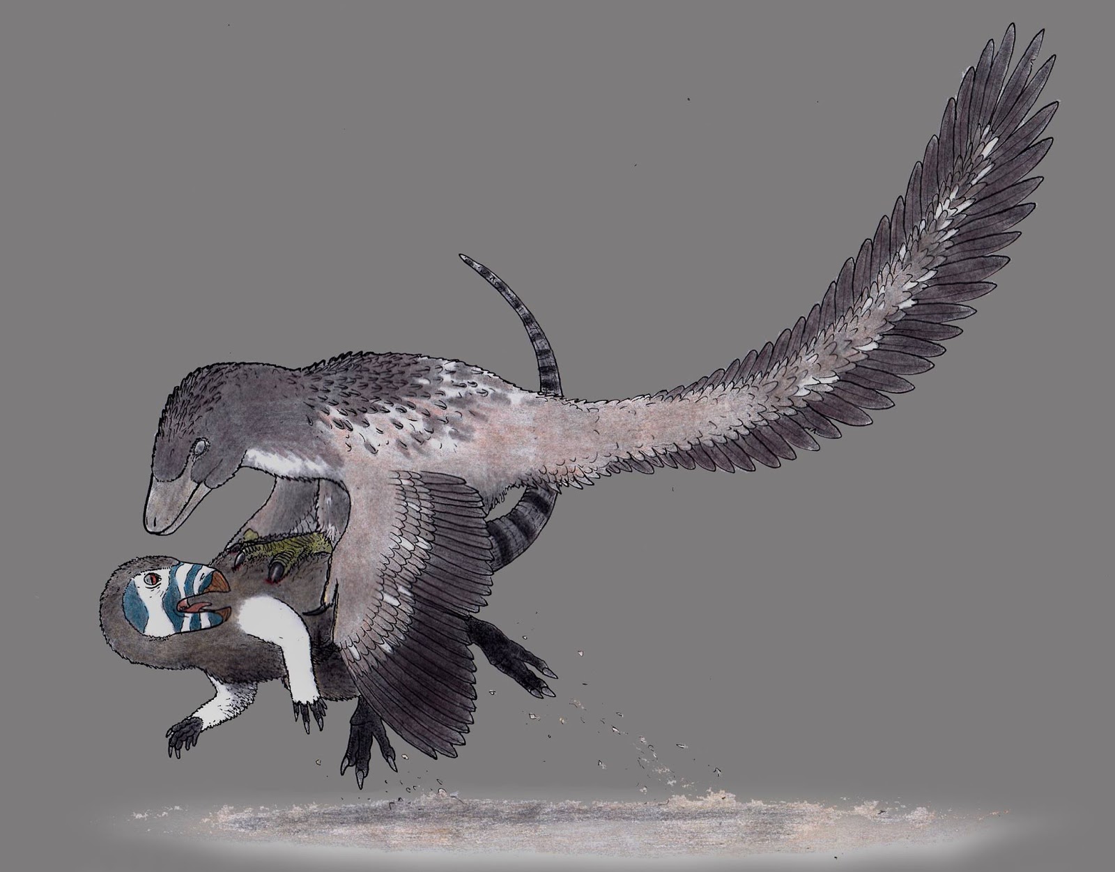 Antediluvian Salad: Making Dromaeosaurids Nasty Again Part I - Wing ...