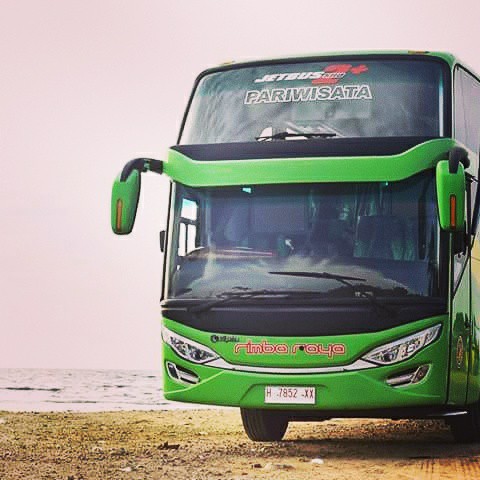 PO. RIMBA RAYA | Ken Jaya