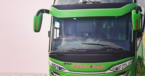 PO. RIMBA RAYA | Ken Jaya