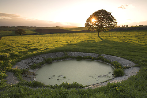 Temperate Climate Permaculture: Dew Ponds or Dieu Ponds