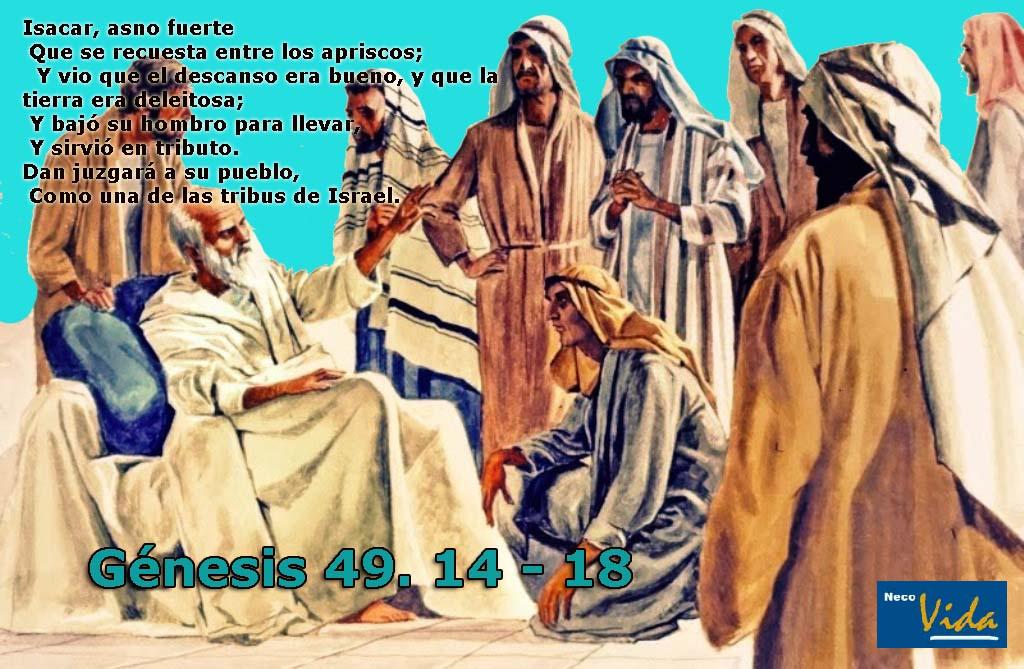 Neco Vida: Leyendo... Génesis capítulo 49. 14 - 18