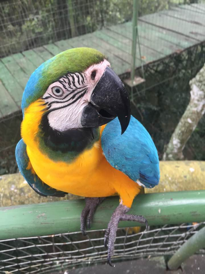 365 Days in Bolivia: 2017