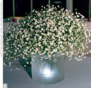 Camila Volpato: Inspiração: Decoração com Gypsophila Paniculata, o ...