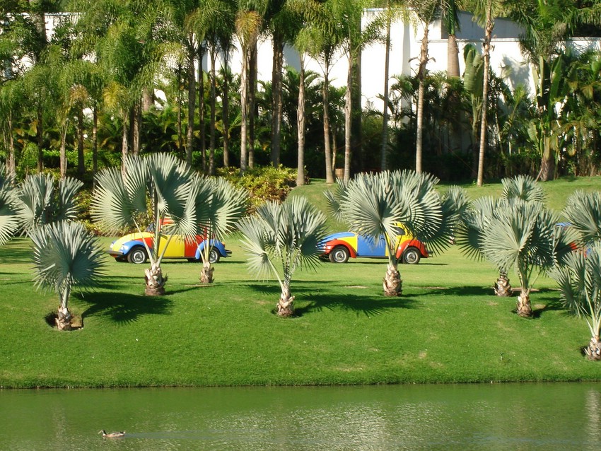 GARNET: Conheça o Museu de Inhotim