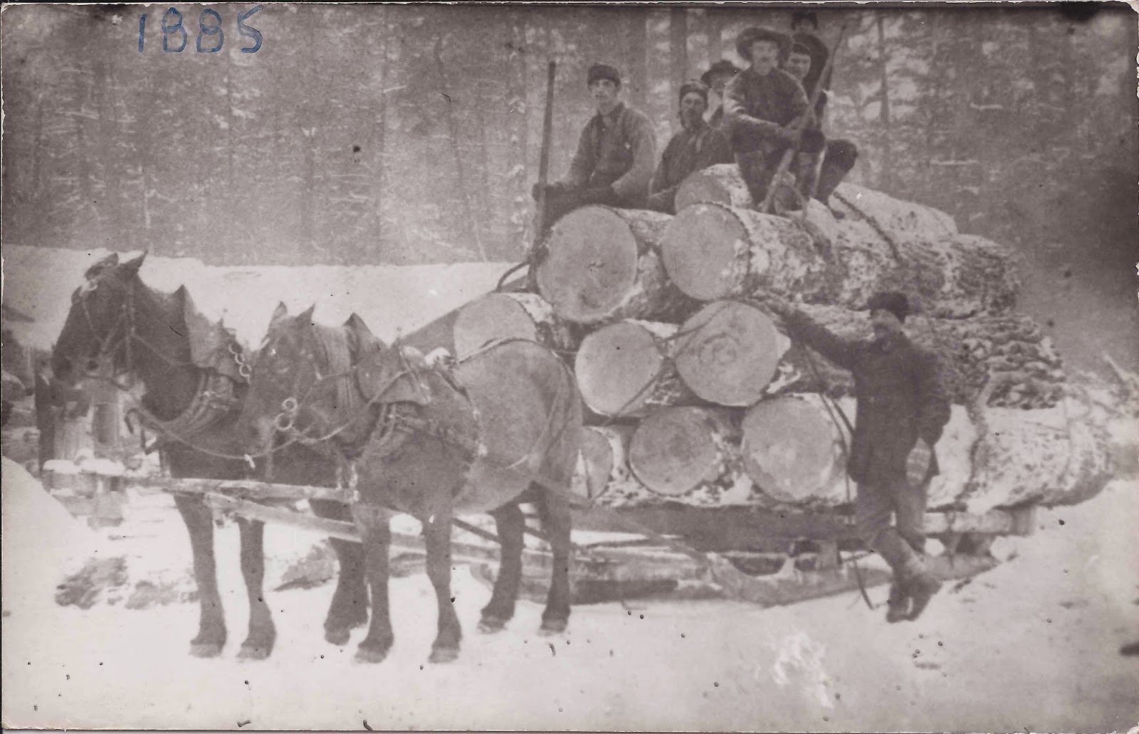 Isabella Conservation District Environmental Education Program ...